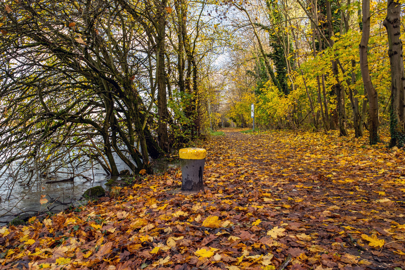 Hochwasser in Oppenheim Foto & Bild | landschaft, naturereignisse, bach, fluss & see Bilder auf ...