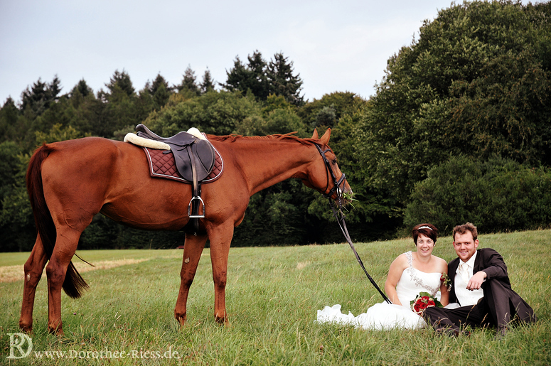 Hochzeitsausflug Foto & Bild | hochzeit, trash the dress, pferd Bilder auf fotocommunity