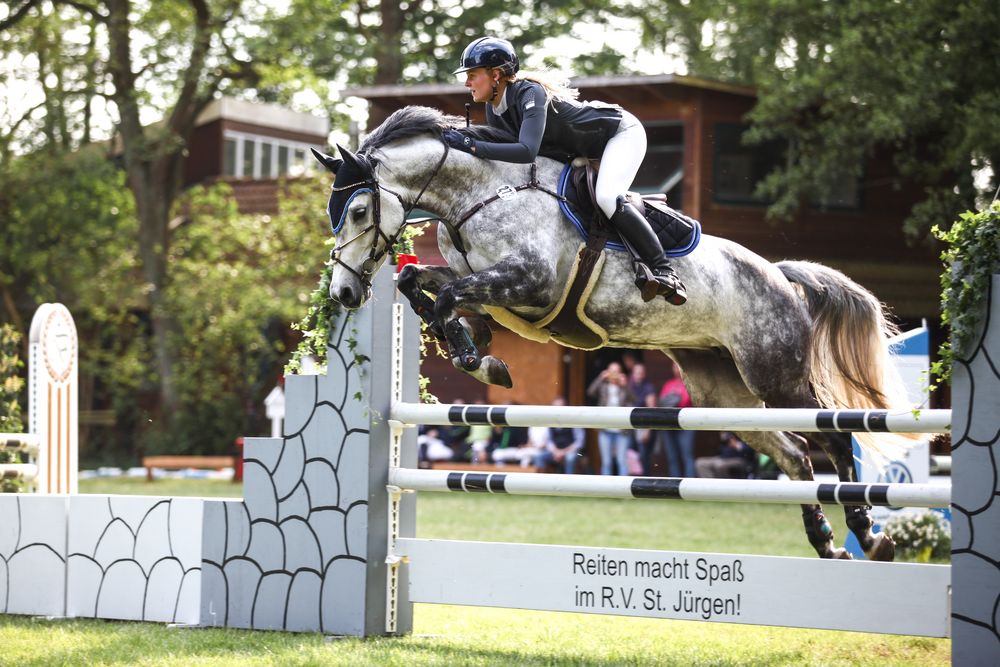 Höge Turnier 2018 Foto & Bild | people, natur, pferde Bilder auf ...