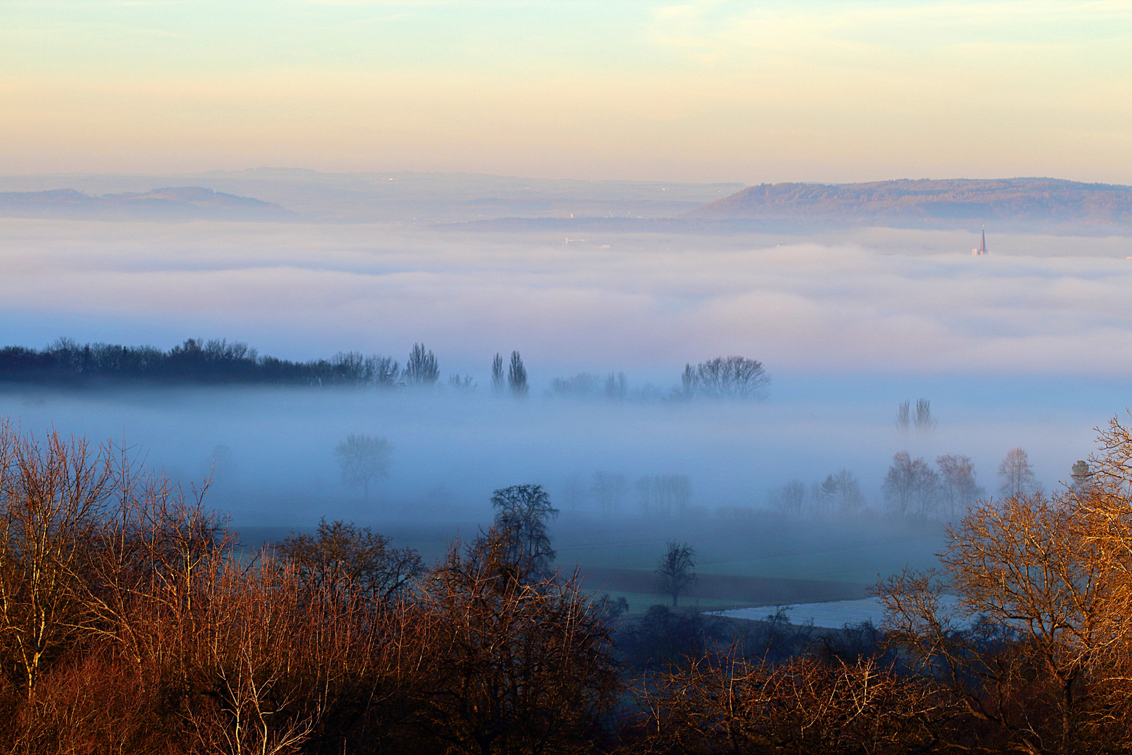Höri im Nebel Foto & Bild | natur, landschaft Bilder auf fotocommunity