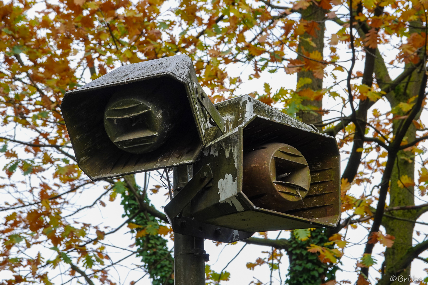 Hört, hört! Foto & Bild | stilleben, lautsprecher Bilder auf fotocommunity