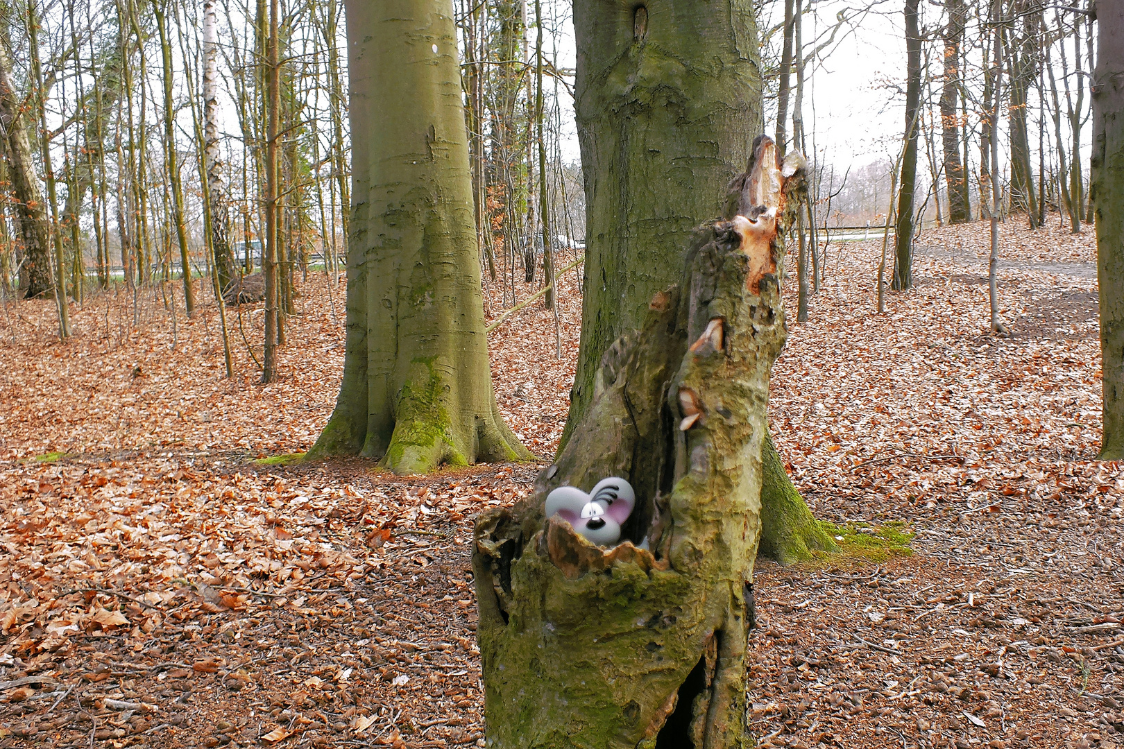 Hol mich doch bitte hier raus Foto & Bild | landschaft, sonstiges, wald ...