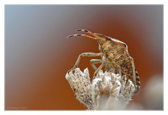 Andreas Froeba - Fotos & Bilder - Fotograf aus Worms, Deutschland ...