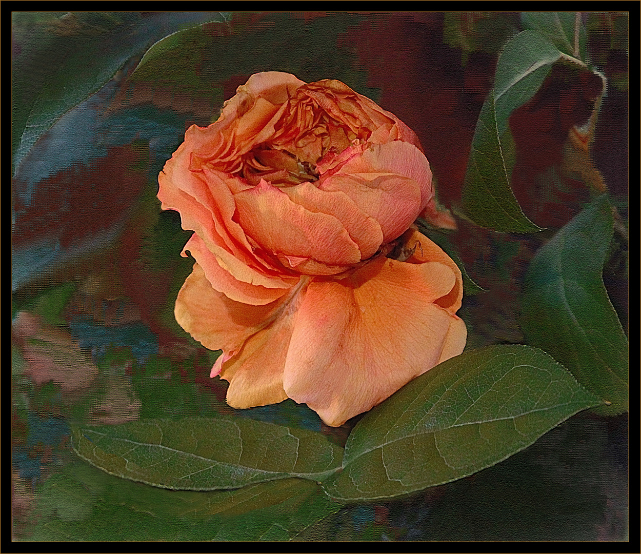 Holla September!! Foto & Bild | blumen , nature, spezial Bilder auf ...