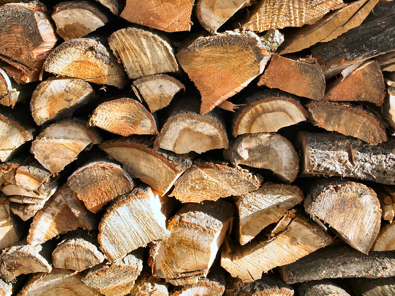 Holz 6 Foto & Bild | reportagen, motive Bilder auf fotocommunity