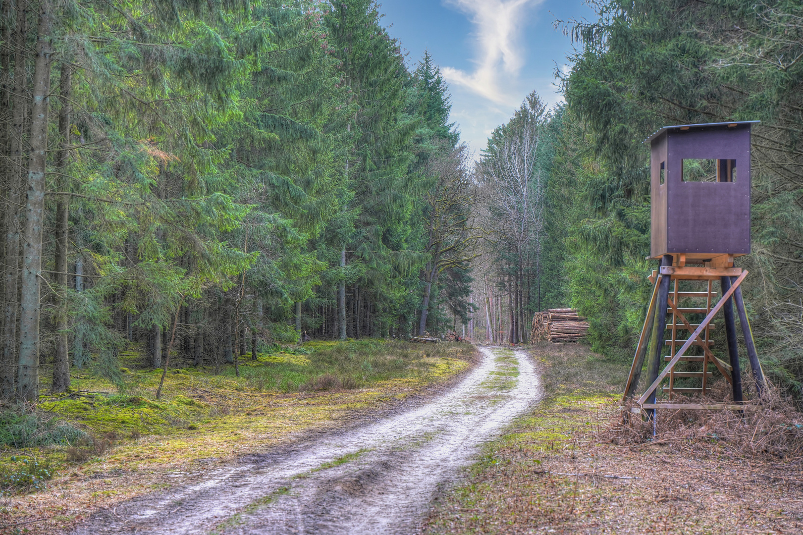 Holz... Foto & Bild | ki - montagen, landschaft, wald Bilder auf fotocommunity