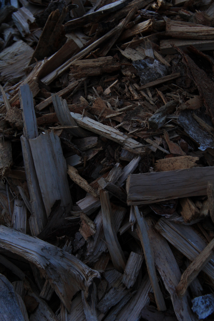 Holz Foto & Bild | holz, abstraktes, motive Bilder auf fotocommunity