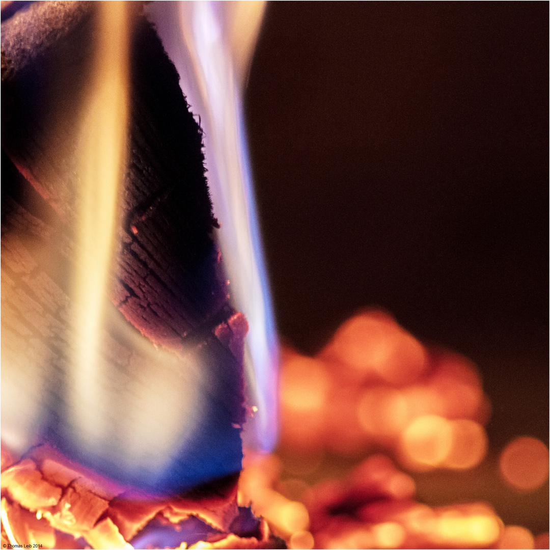 Holz.... Feuer und Flamme… Foto & Bild | die elemente, makro, münchen ...