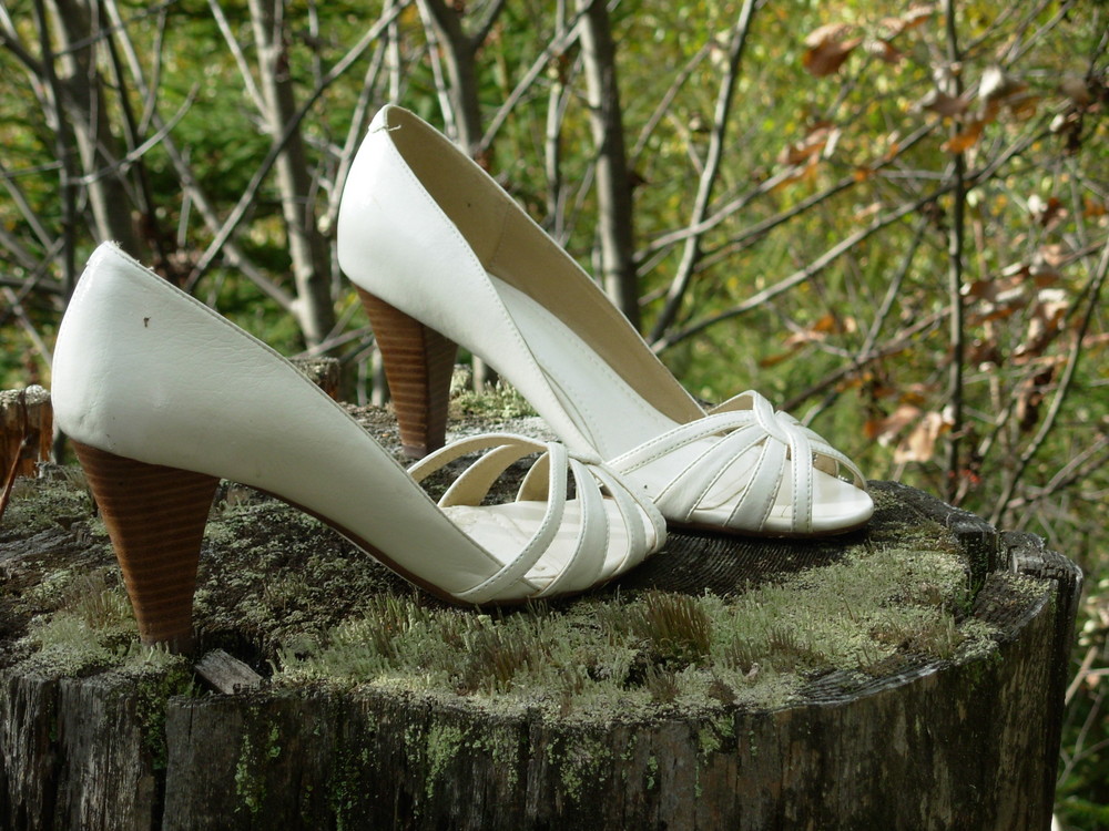 holzstamm Foto & Bild | jahreszeiten, herbst, natur Bilder auf ...