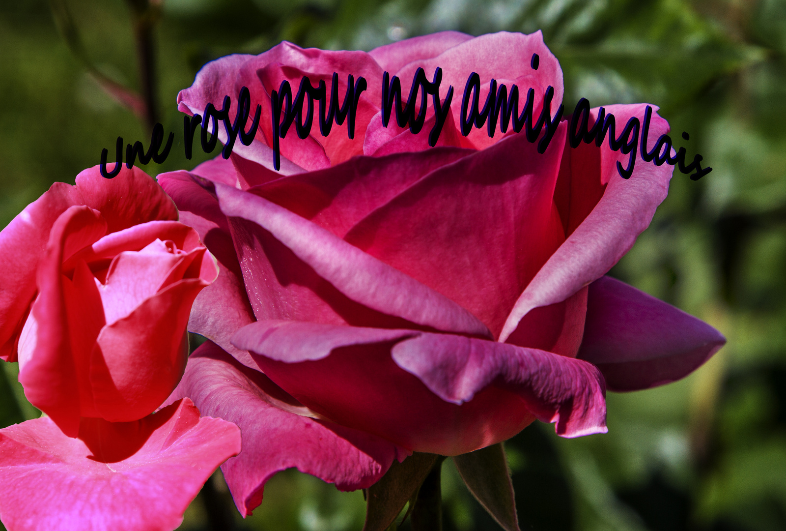 hommage photo et image | hommage aux anglais, special Images fotocommunity