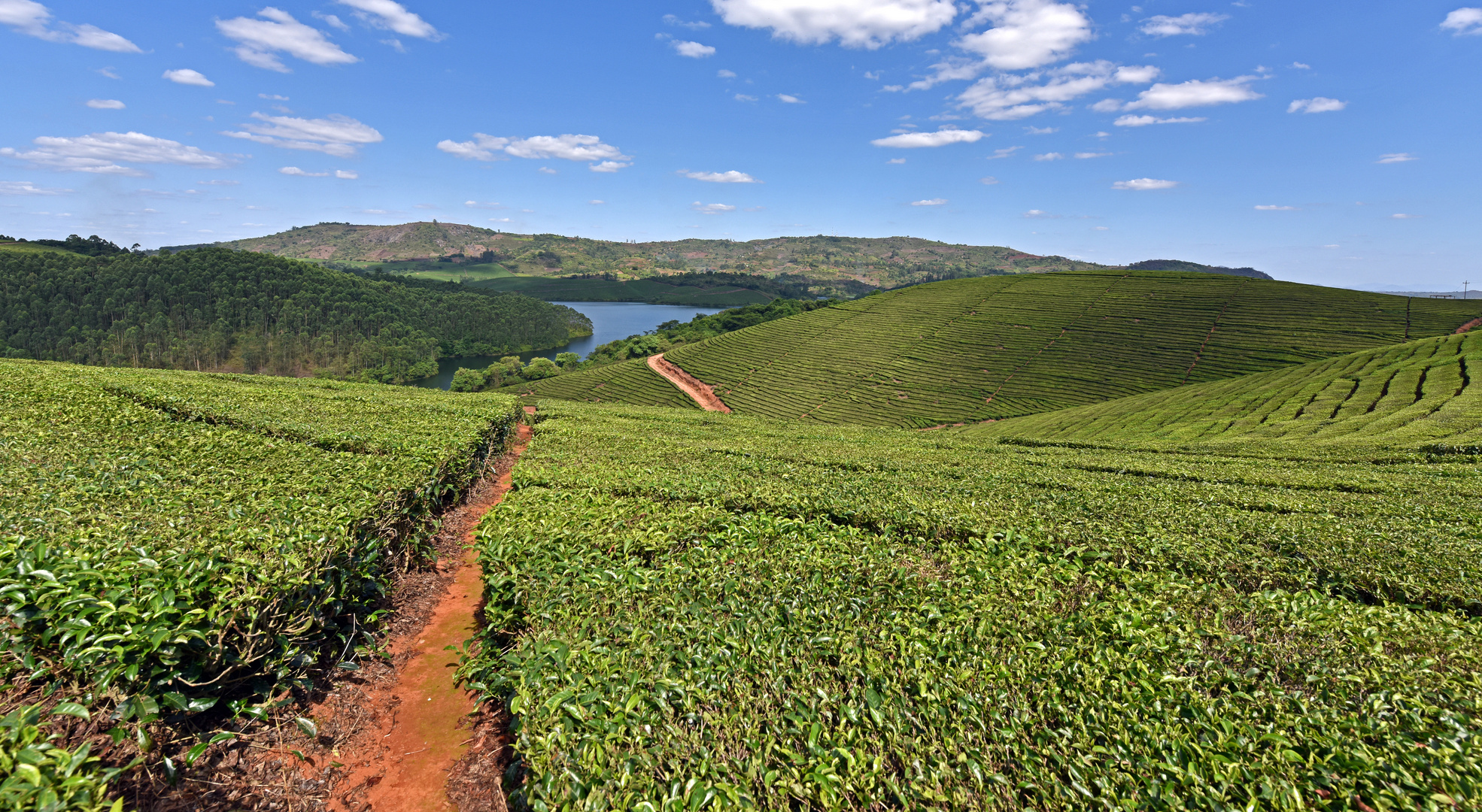 "Honde Valley" Foto & Bild | fotos, world, natur Bilder auf fotocommunity