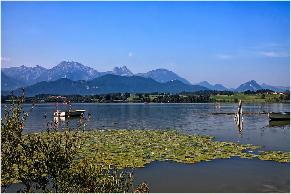 Hopfensee Foto & Bild | world, bayern, deutschland Bilder auf fotocommunity