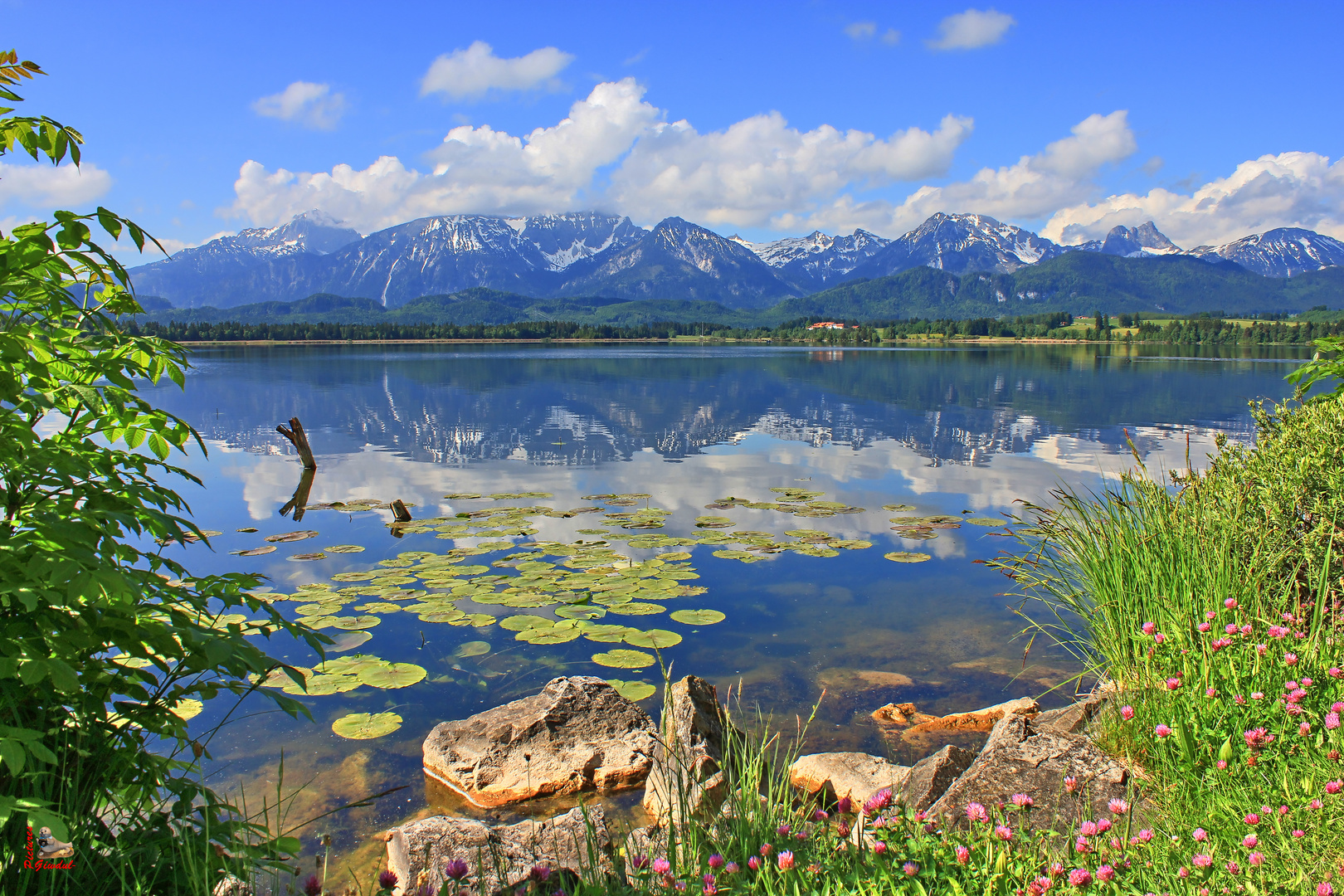 Hopfensee Foto & Bild | world, natur, landschaft Bilder auf fotocommunity