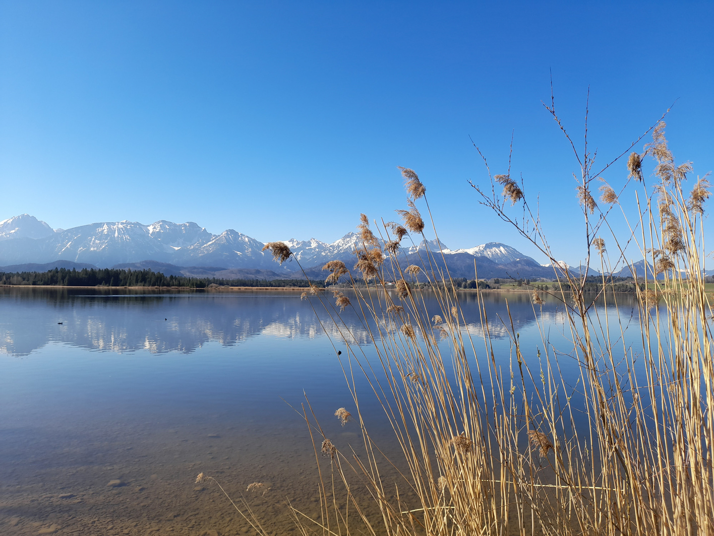 Hopfensee Foto & Bild | landschaft, berge, bach, fluss & see Bilder auf ...