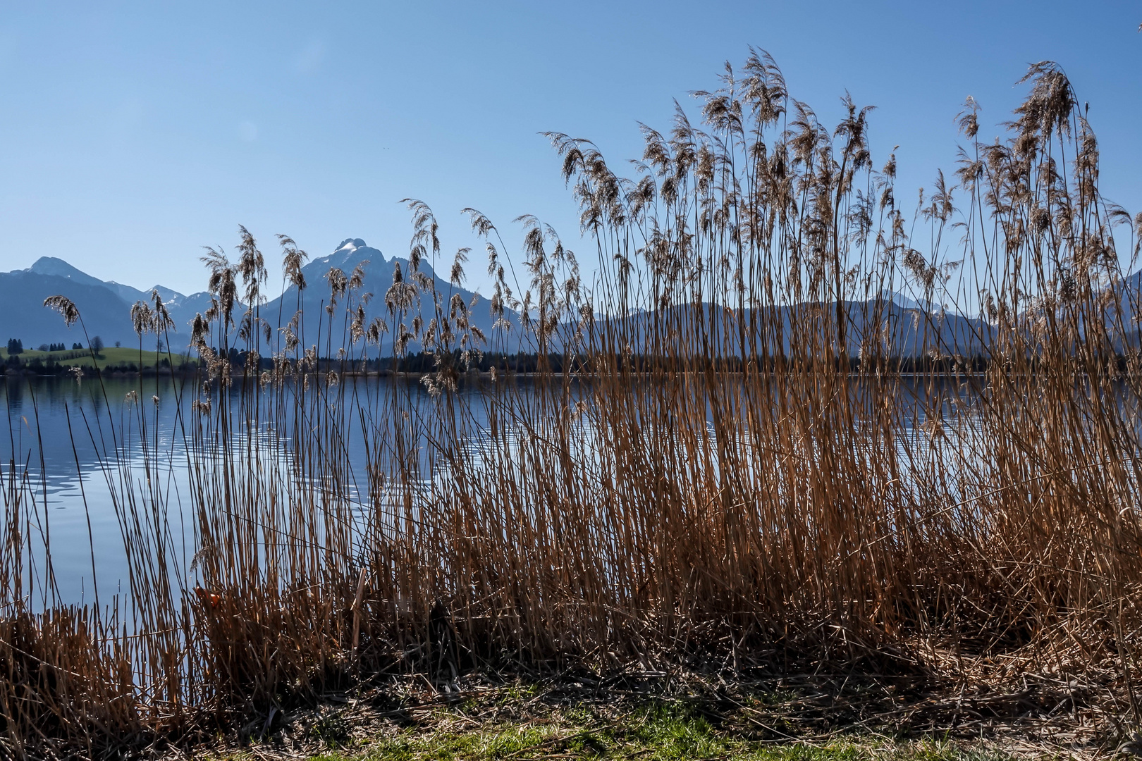 Hopfensee / Ostallgäu Foto & Bild | wasser, natur, see Bilder auf ...