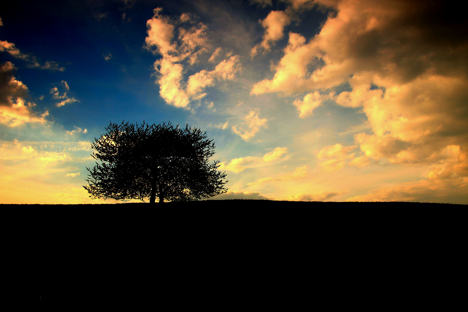 Horizont Foto & Bild | landschaft, Äcker, felder & wiesen, horizont ...