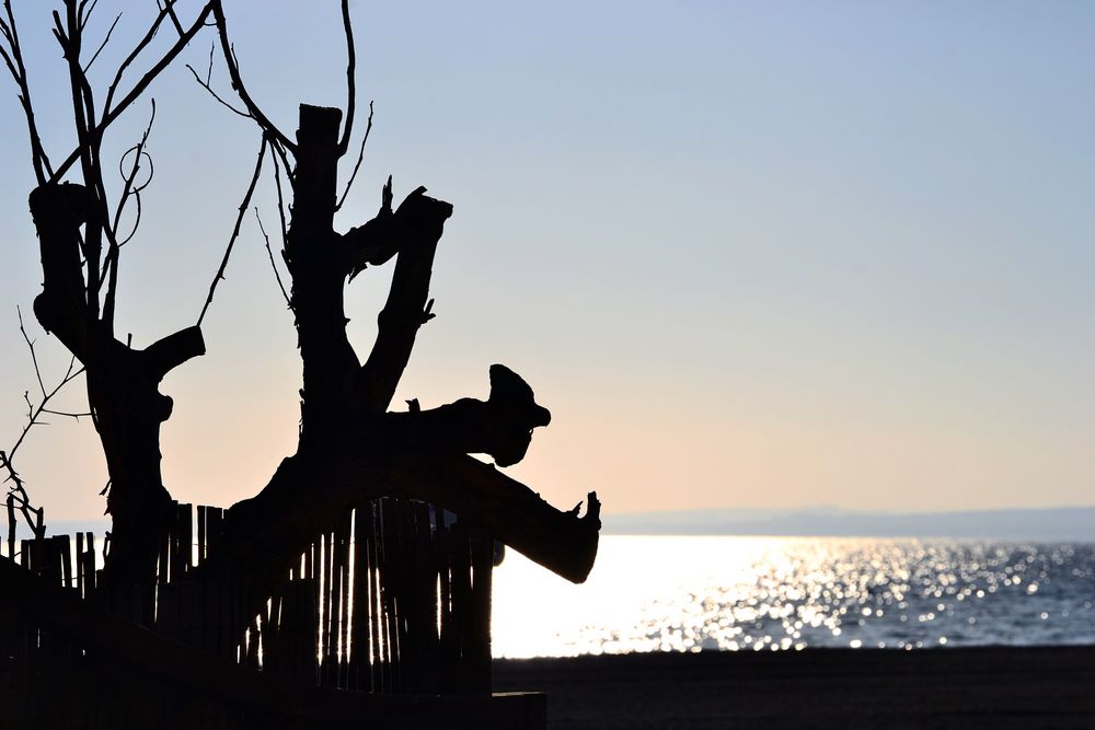 Horizonte Imagen & Foto | cielo y universo, mar, cielo Fotos de ...