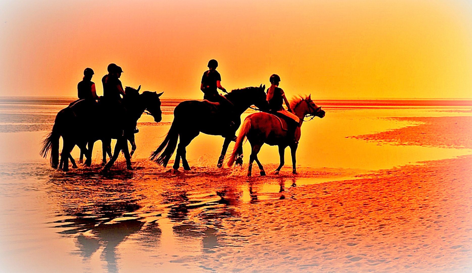 horses on the beach (Pferde am Strand) Foto & Bild | tiere, haustiere ...