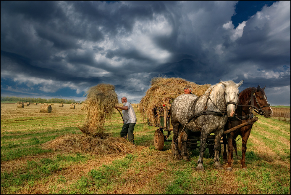 Hortobagy Puszta Foto & Bild | europe, hungary, hungary & slovakia ...
