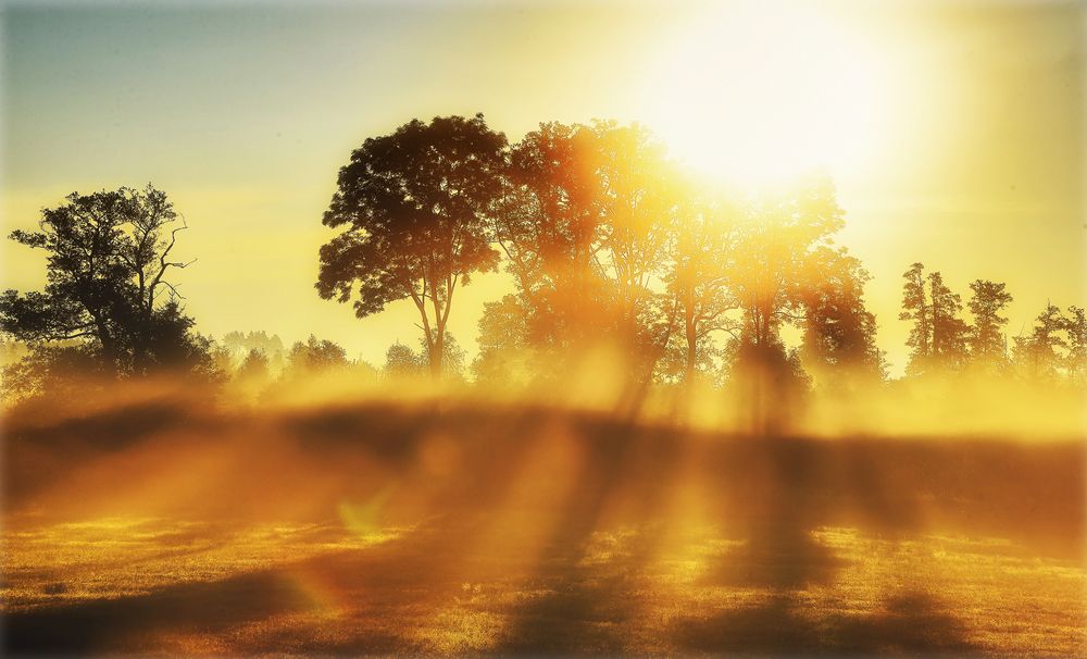 hot August ... Foto & Bild | jahreszeiten, sommer, sonnenaufgänge ...