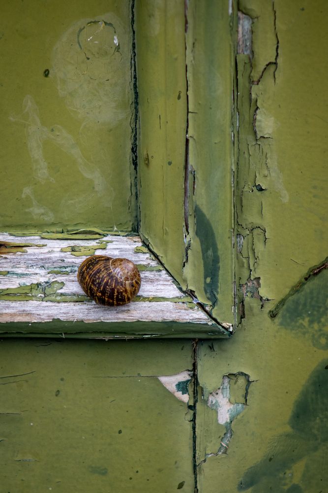 House on a House Foto & Bild | nature, world, dokumentation Bilder auf ...