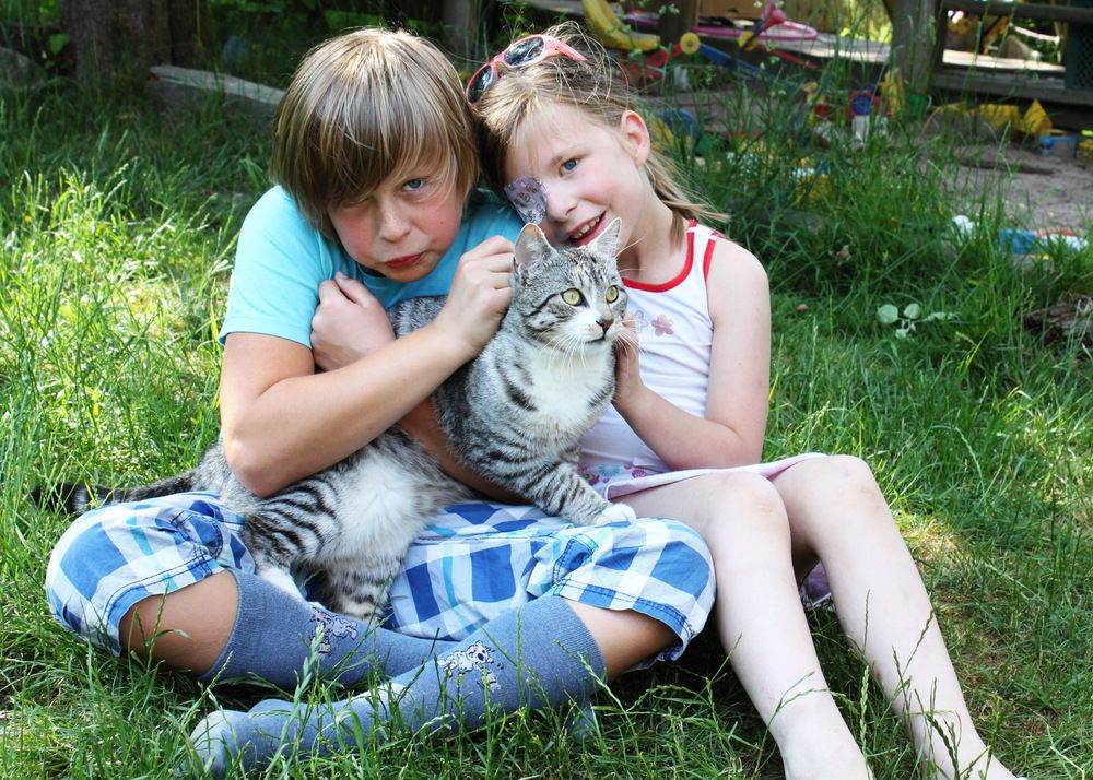 How cute... Foto & Bild | archiv, a r c h i v aktuell, colorfoto kinder ...