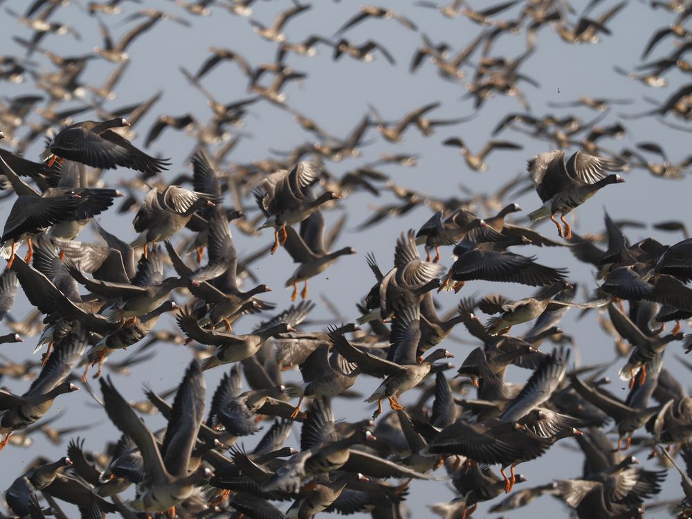 Huch! Foto & Bild | world, natur, österreich Bilder auf fotocommunity