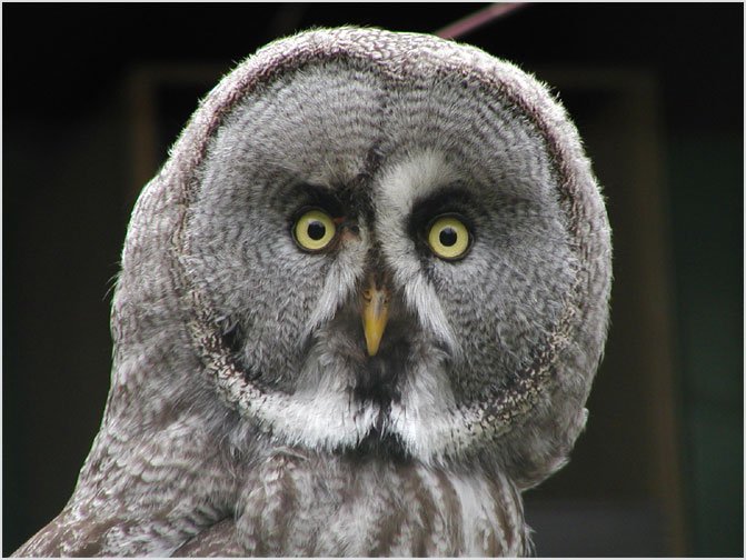 Huch ??? Foto & Bild | quatsch, fun und rätselecke, spezial Bilder auf ...