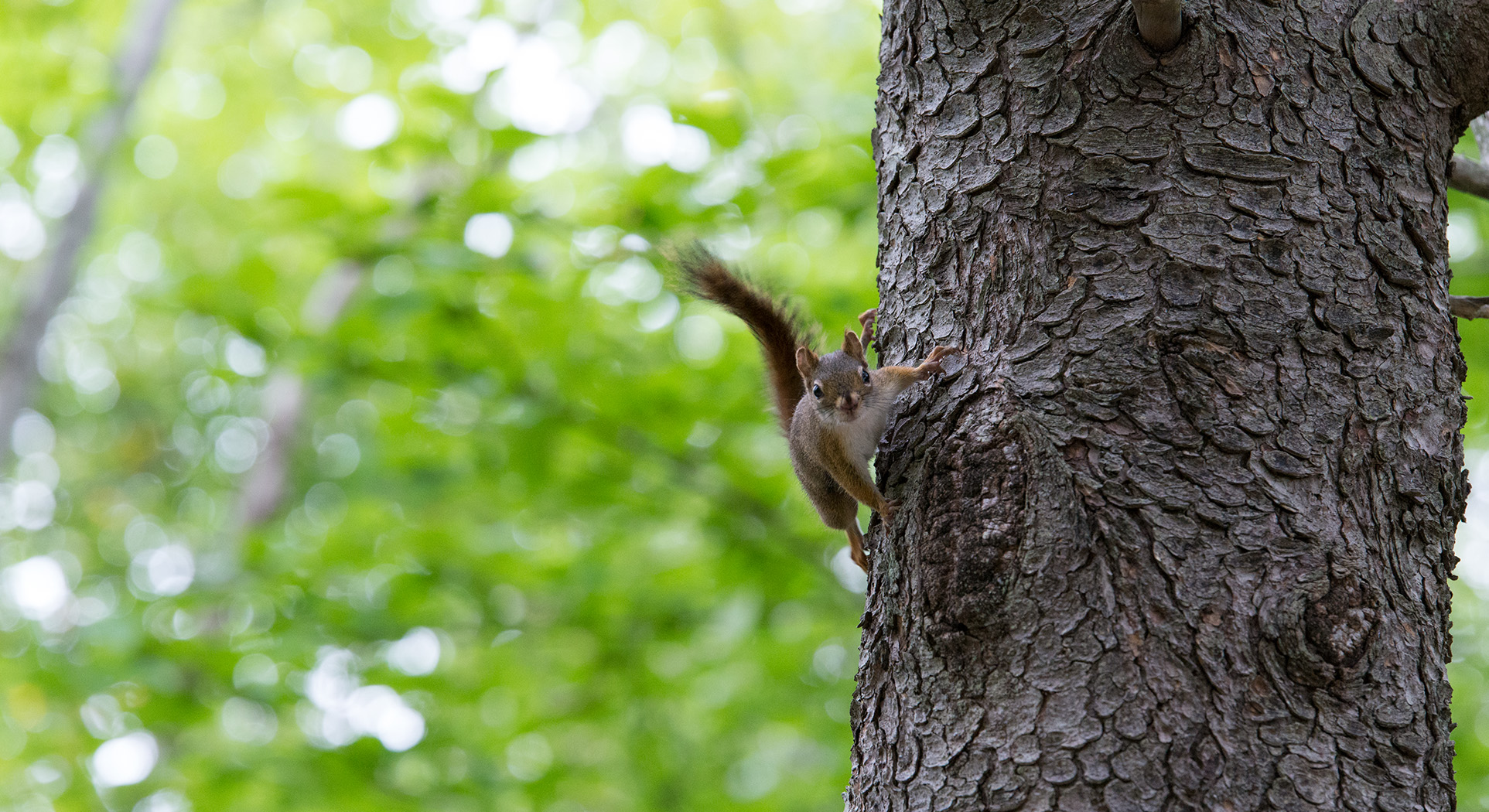 Huch! Foto & Bild | tiere, wildlife, säugetiere Bilder auf fotocommunity