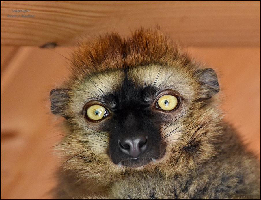 HUCH !!!! Foto & Bild | world, natur, portrait Bilder auf fotocommunity