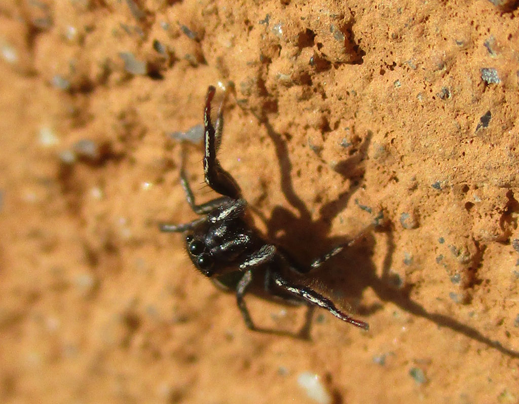 Huch ! Foto & Bild | andere tiere, natur, tiere Bilder auf fotocommunity