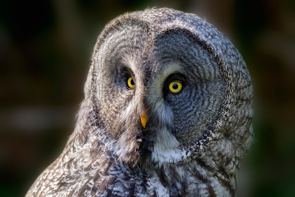 Huch, is was Foto & Bild | usa, spezial, natur Bilder auf fotocommunity