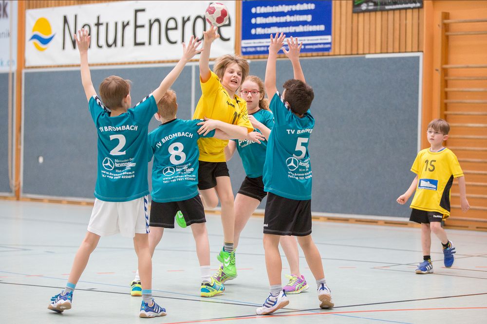 Hummel ...Da fehlt noch der Blick für den fereien "Mann" Foto & Bild ...