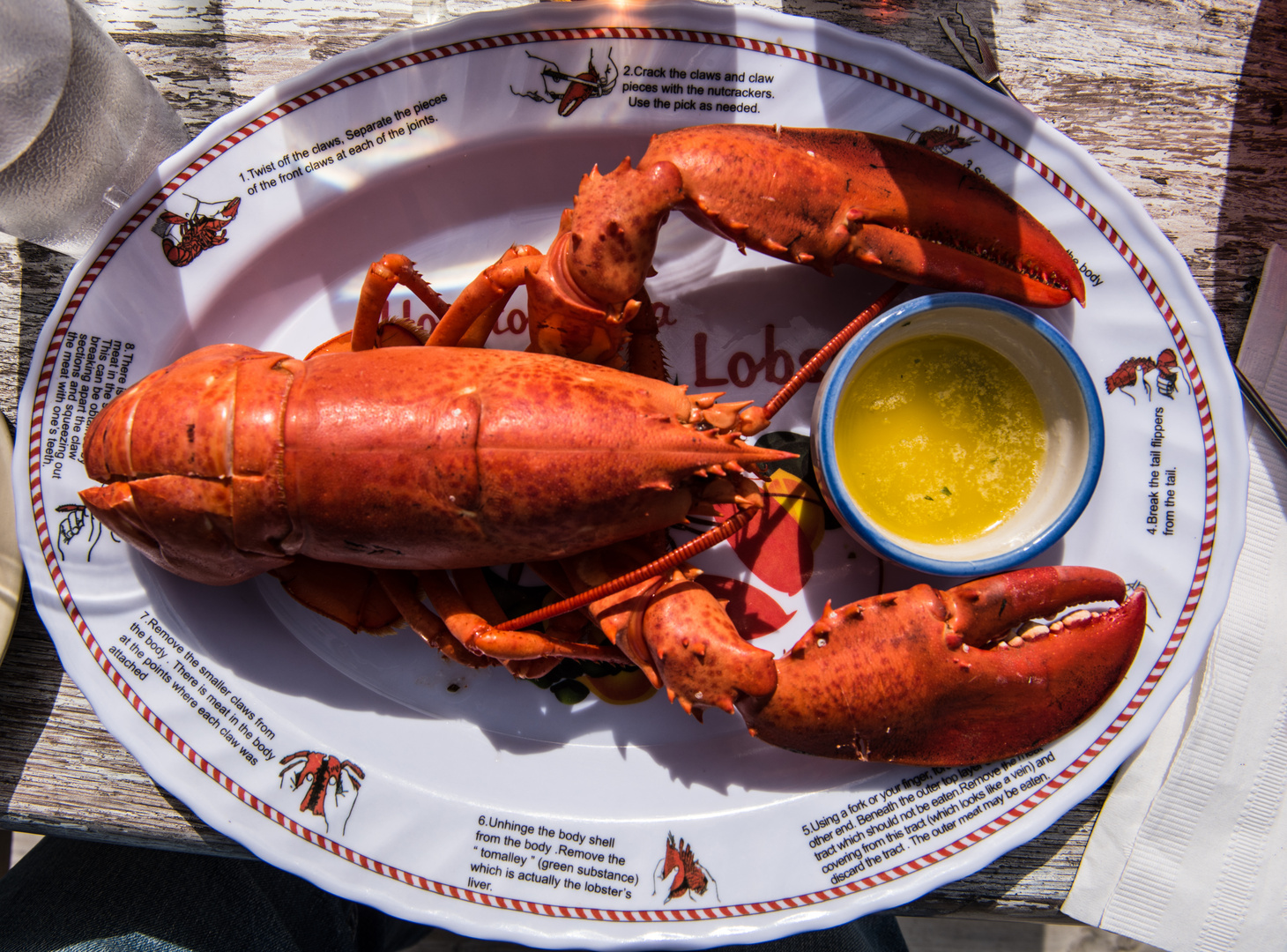 Hummer DSC_3426 Foto & Bild | tiere, wildlife, krebse Bilder auf ...