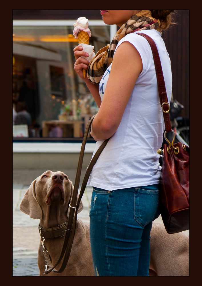 Hund und Eis Foto & Bild | streetfotografie mit menschen, street: spontane portraits, street ...