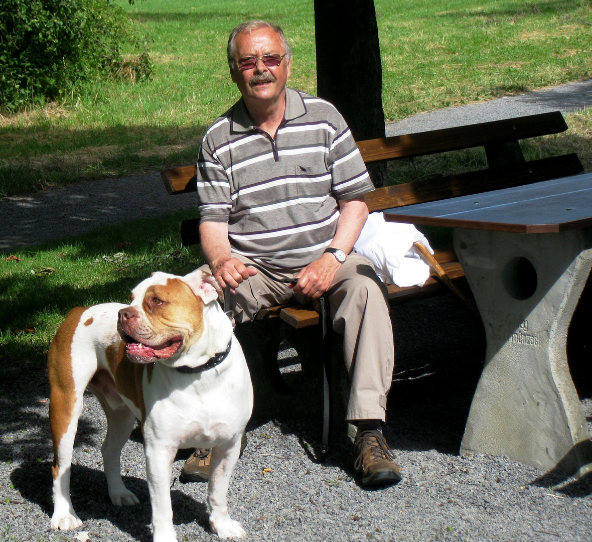 Hund und Herr Foto & Bild | erwachsene menschen, alltagsereignisse ...