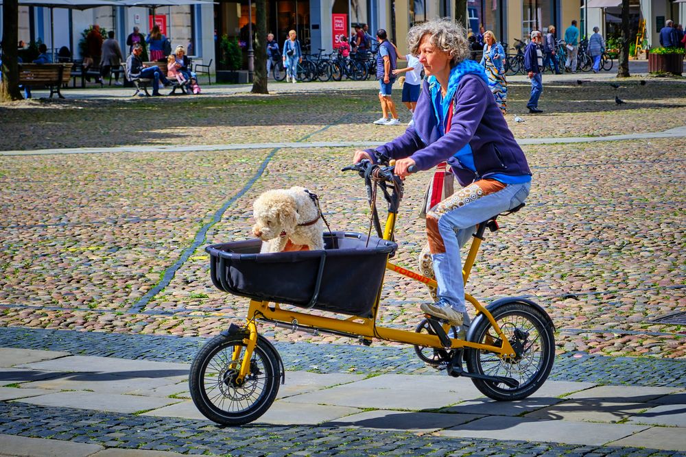Hundemüde Foto & Bild | erwachsene menschen, tiere, haustiere Bilder auf fotocommunity