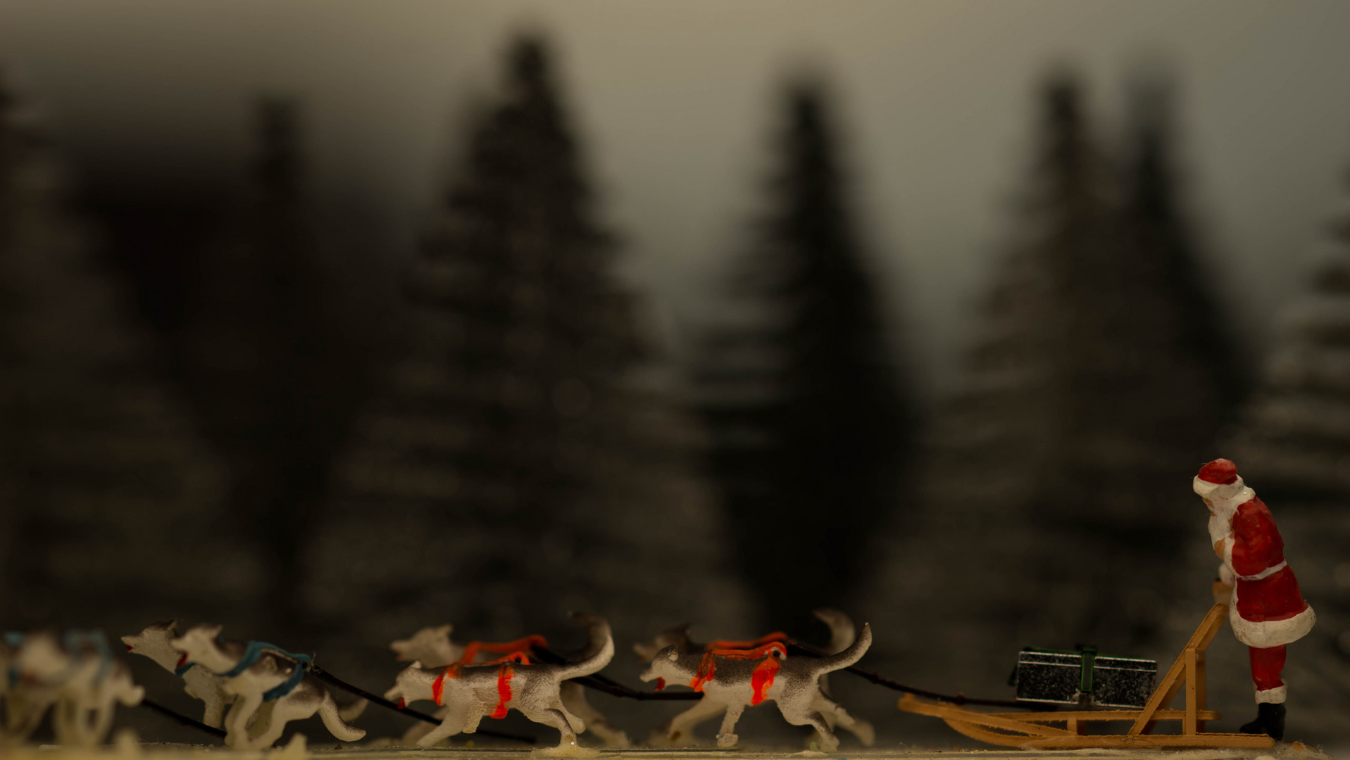 Hundstage Foto & Bild | stillleben, kunstfotografie & kultur, gratulation und feiertage Bilder ...