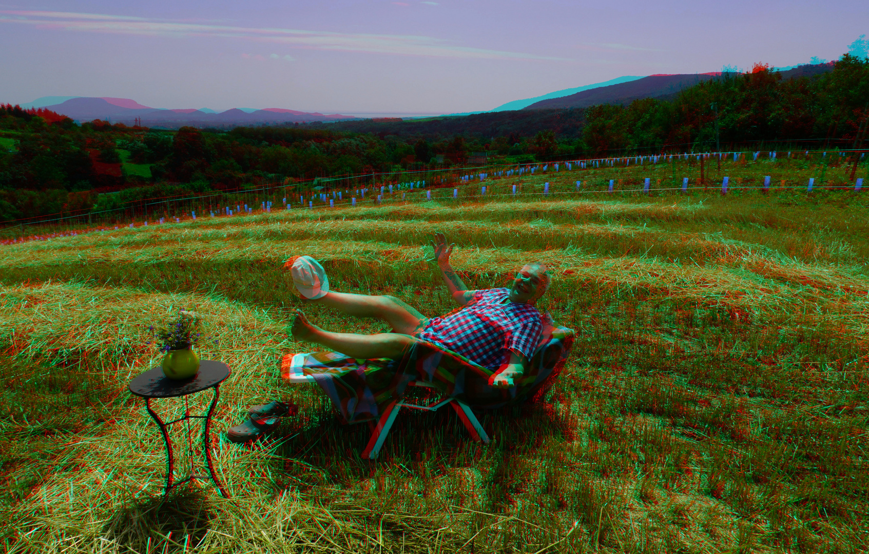 Hungary Ein Bett im Kornfeld (3D-ANA) Foto & Bild | spezial, kornfeld, anaglyphen Bilder auf ...