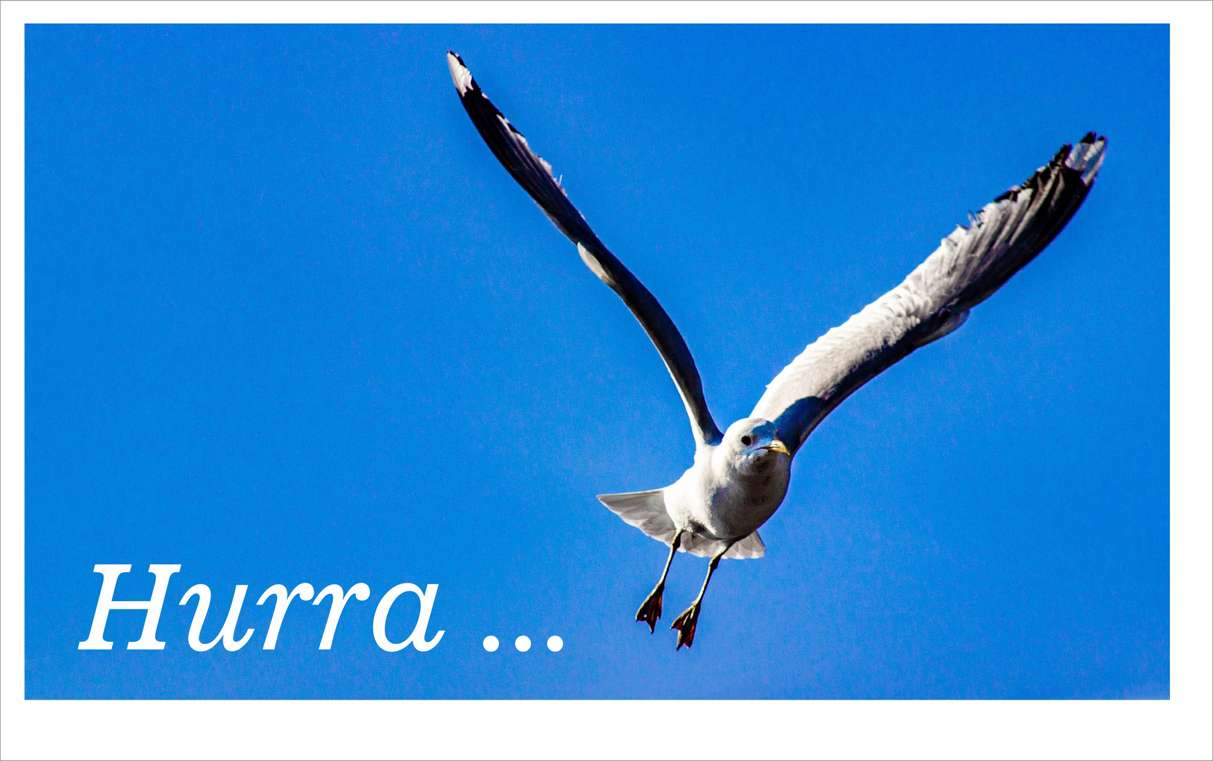 Hurra ... Foto & Bild | blue, spezial, blau Bilder auf fotocommunity