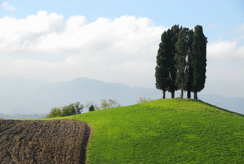 I 5 Pini.. Foto % Immagini| paesaggi, natura Foto su fotocommunity