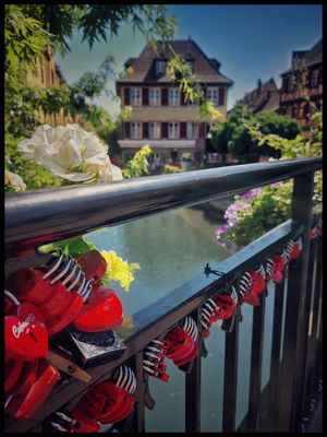 Colmar Bilder & Fotos