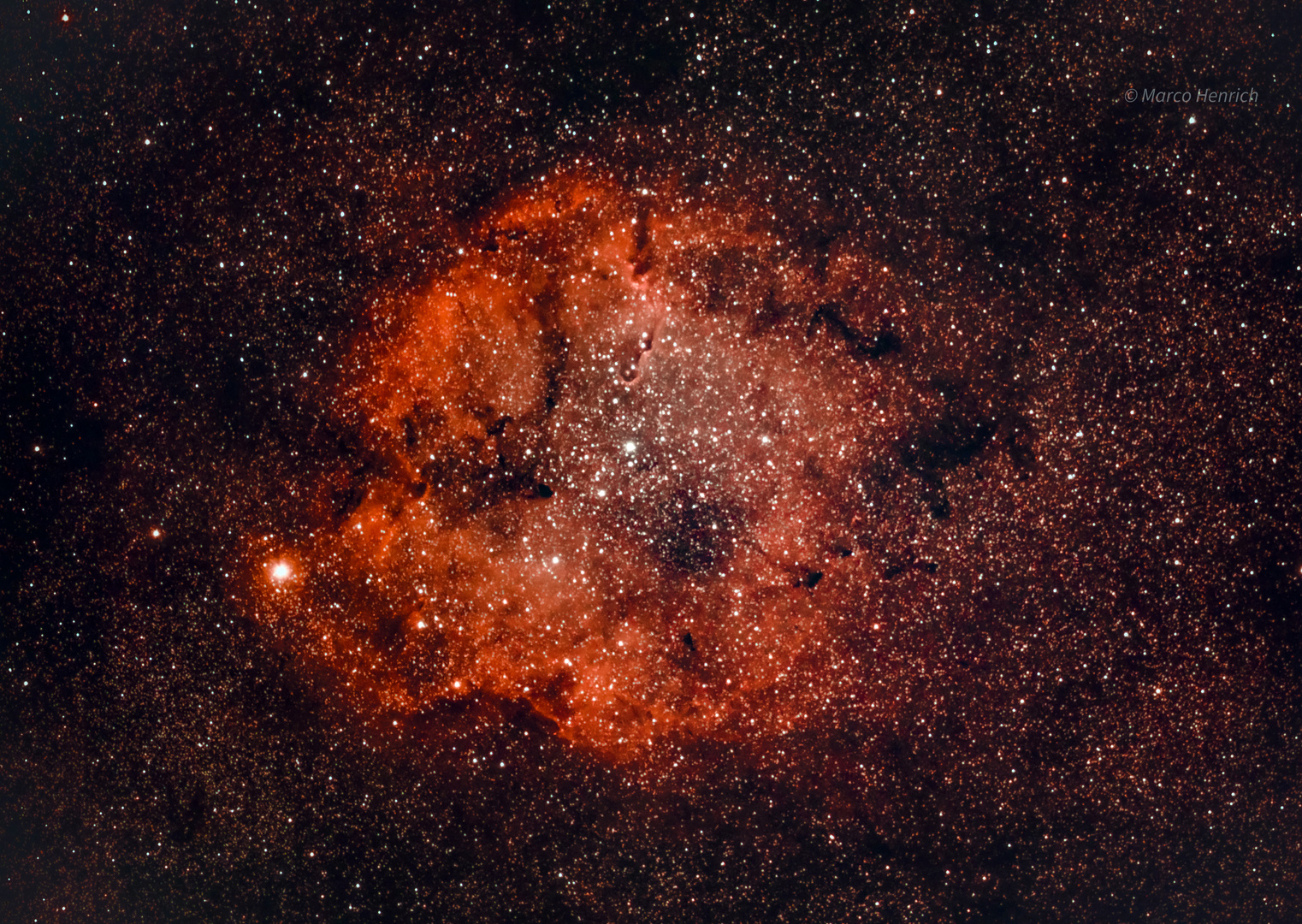 IC 1396 Foto & Bild | astrofotografie, techniken, nachtaufnahmen Bilder auf fotocommunity