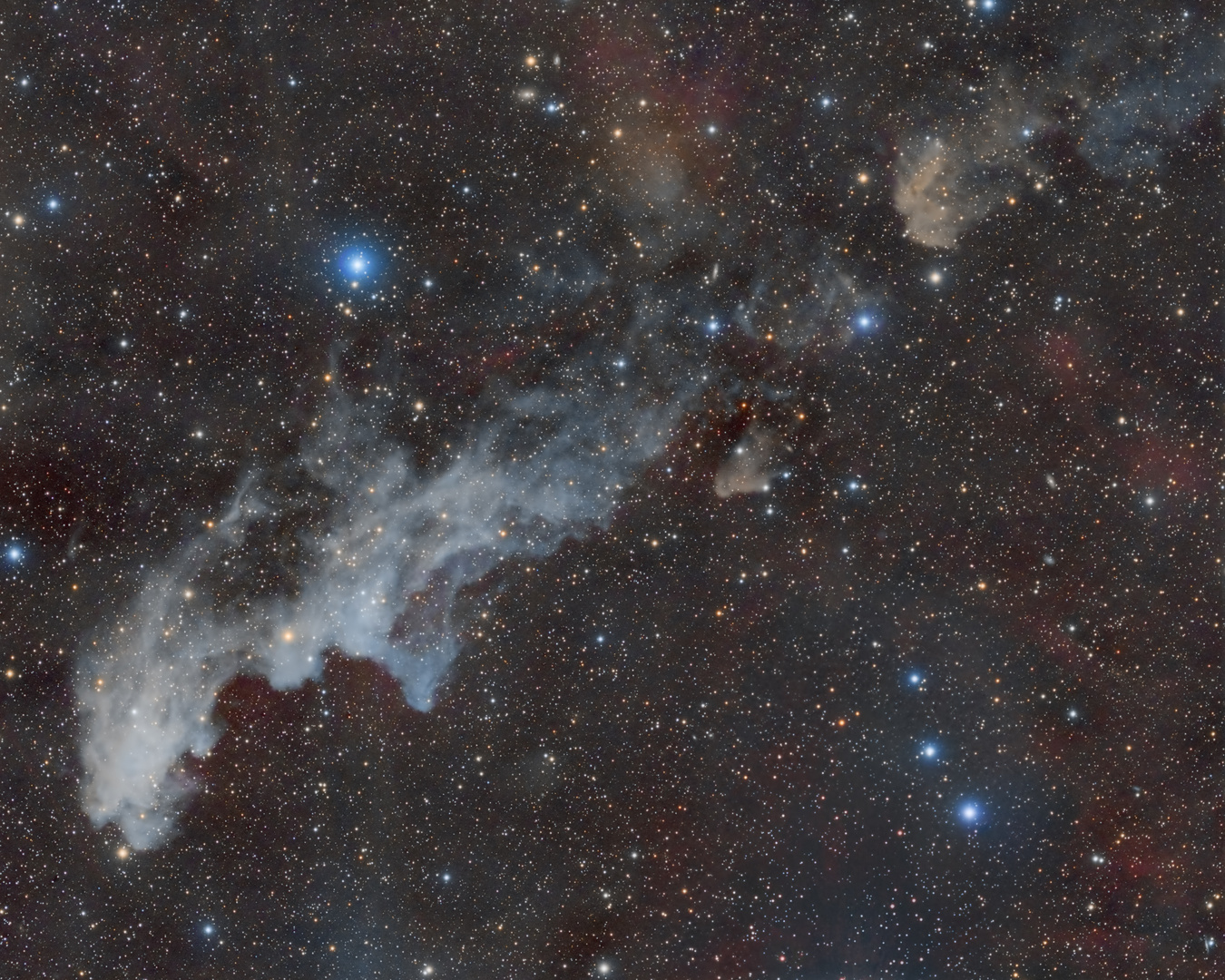 IC 2118 der Hexenkopfnebel Foto & Bild | astrofotografie, himmel ...