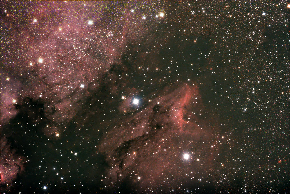 IC 5067 -70 (Pelikannebel) Foto & Bild | astrofotografie, himmel ...