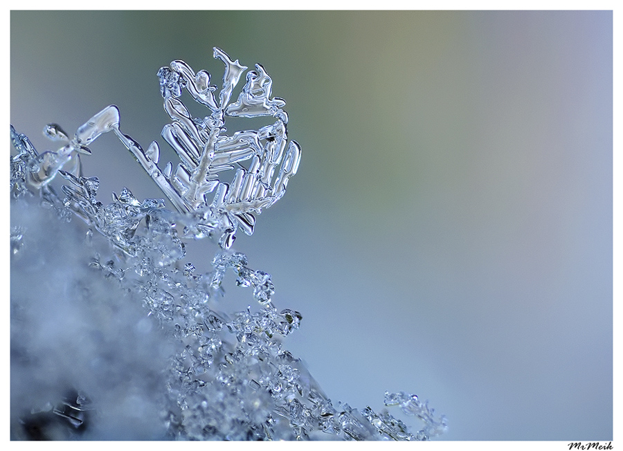 Ice Foto & Bild | die elemente, kalt, makro Bilder auf fotocommunity