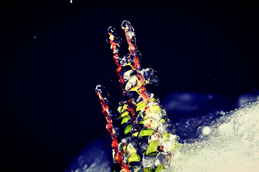 Ice Foto & Bild | jahreszeiten, winter, ice Bilder auf fotocommunity