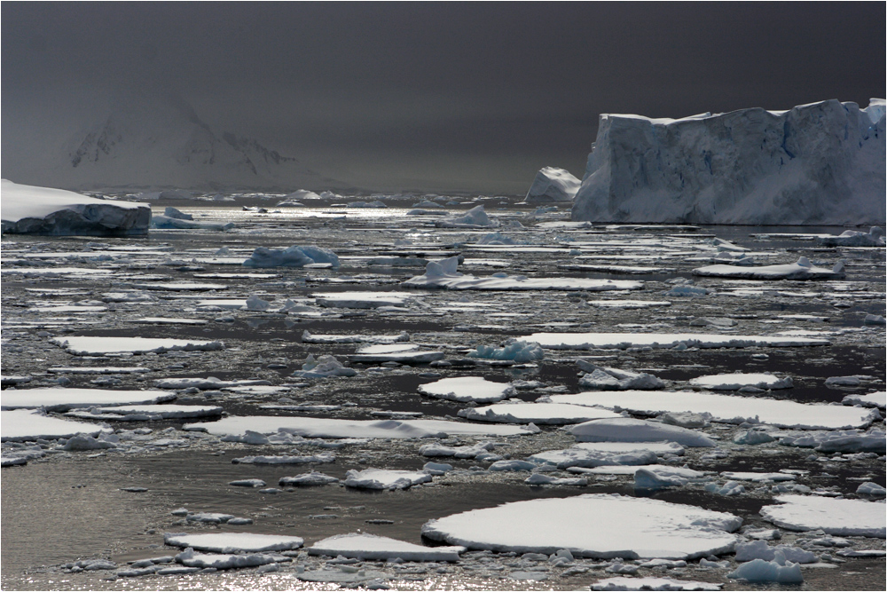 Ice [ I ] Foto & Bild | am prüfstand, contest Bilder auf fotocommunity