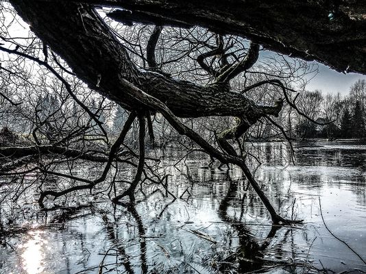 Ines Erdmann - Fotos & Bilder - Fotografin aus Ahrensburg, Deutschland ...