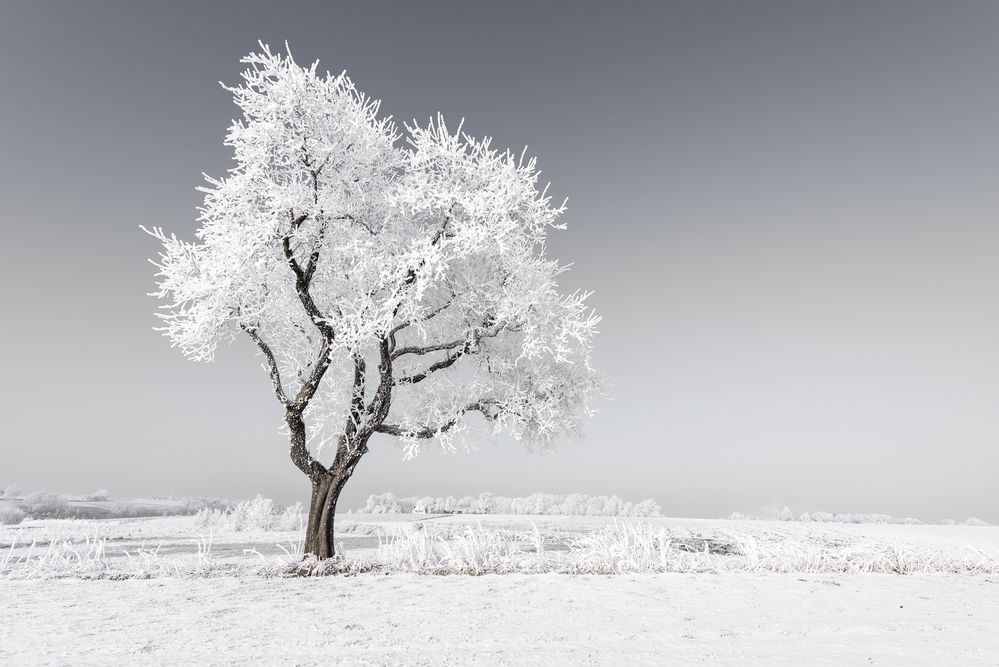 Iceland Foto & Bild | landschaft, jahreszeiten, winter Bilder auf fotocommunity